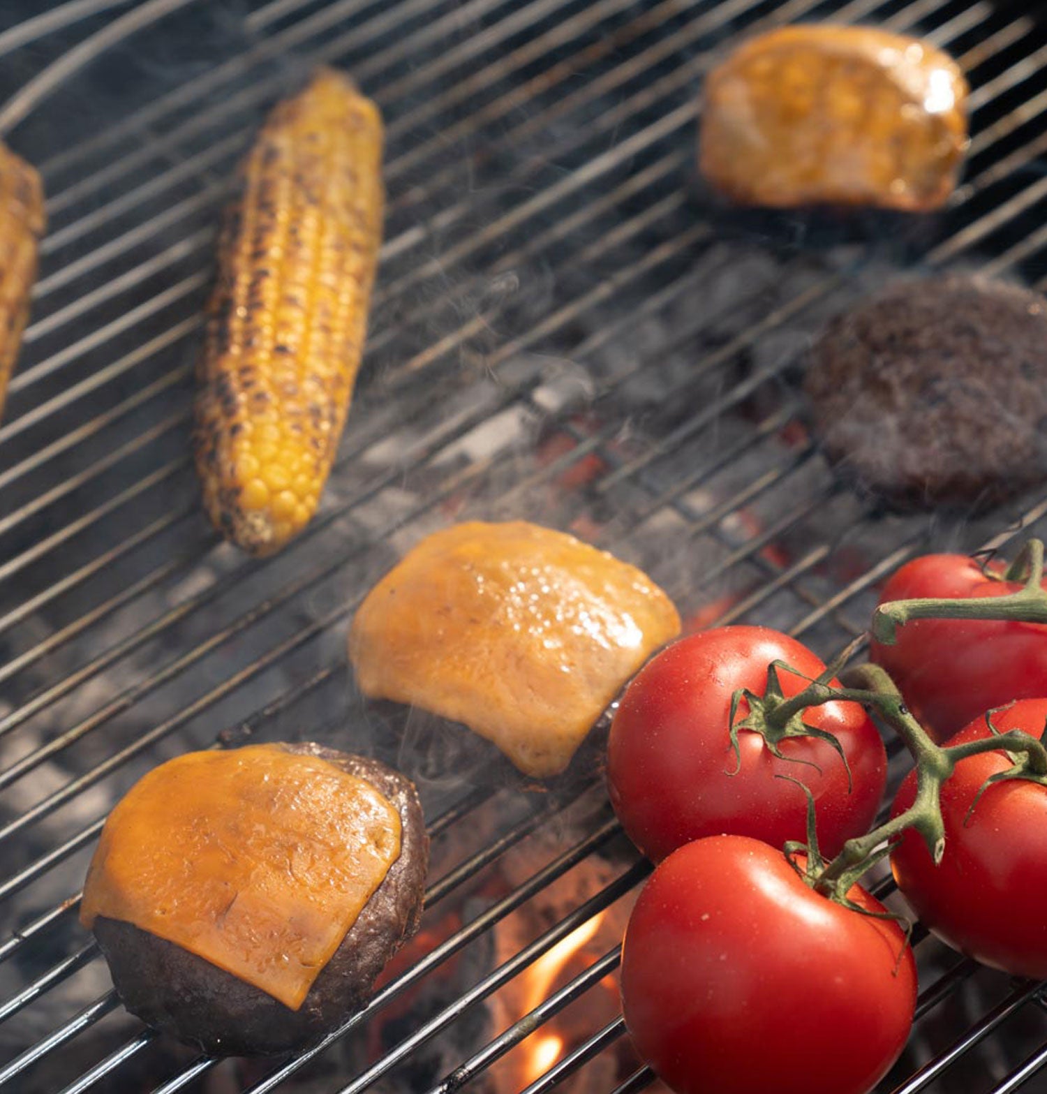 Beginners Guide To Different Types of Coal – coals2u