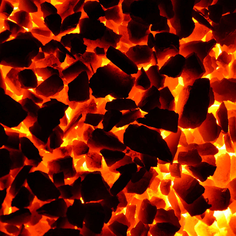 Anthracite for Cookers, Boilers & Closed Appliances | Homefire – coals2u